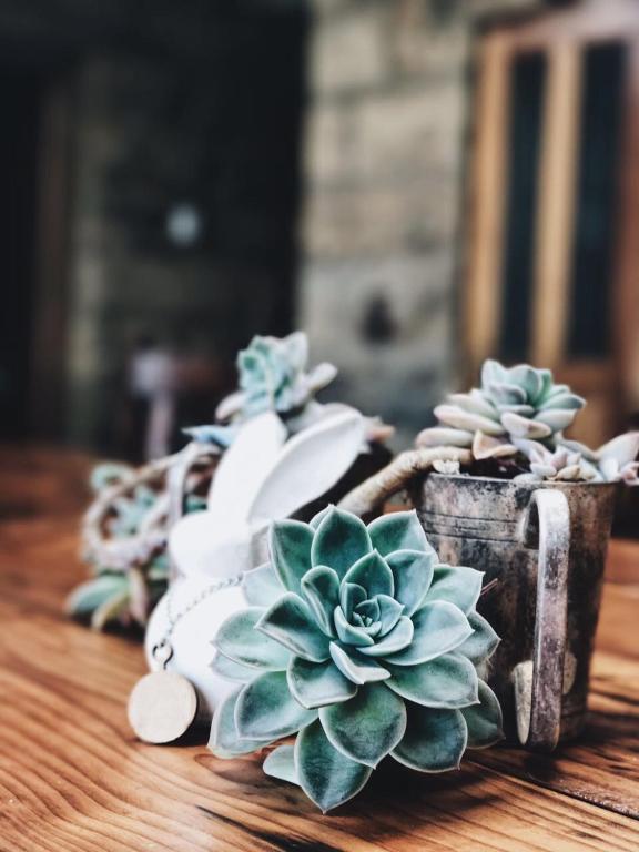 Makoadi Farms Guesthouse, Clocolan (updated prices 2026)