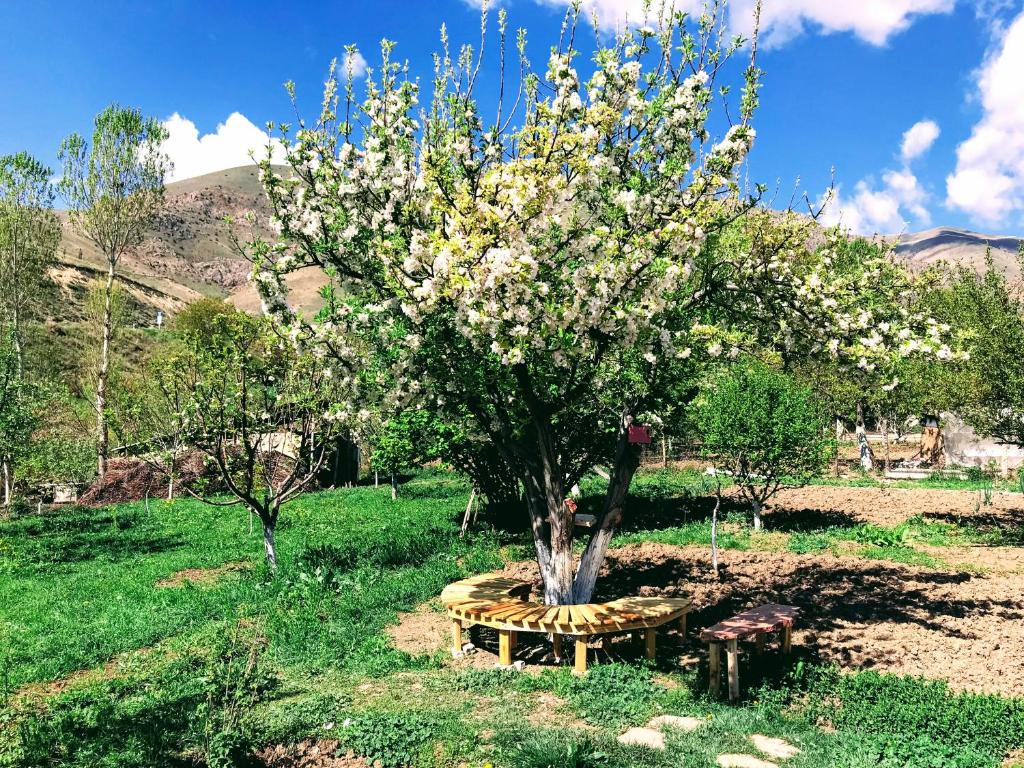 Ashot & Gohar B&B, Chʼiva (updated prices 2025)