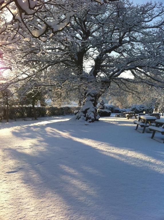 The Kinmel & Kinspa, Abergele (updated prices 2025)