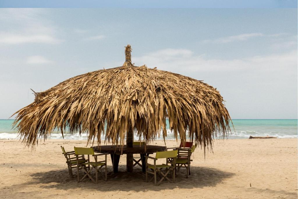 Reserva Natural El Matuy, Palomino (updated prices 2025)