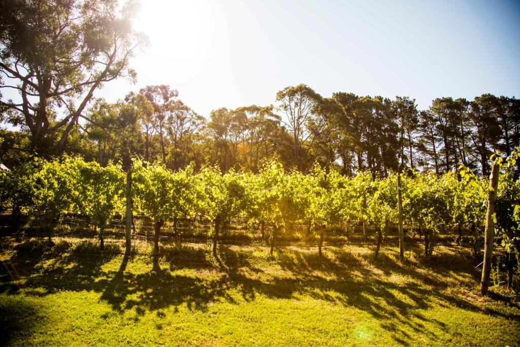 Polperro Villas, Red Hill (updated prices 2025)