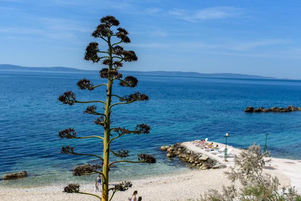 Best location Apartments, Split (updated prices 2024)