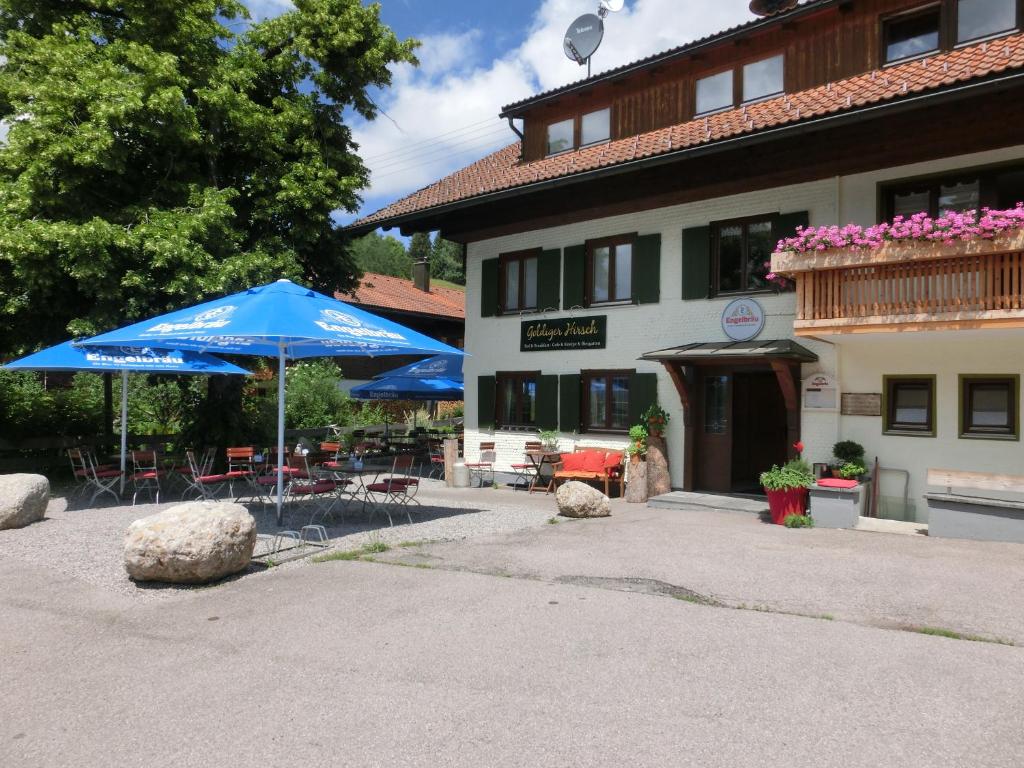 Goldiger Hirsch Immenstadt Im Allgäu Aktualisierte Preise Für 2025