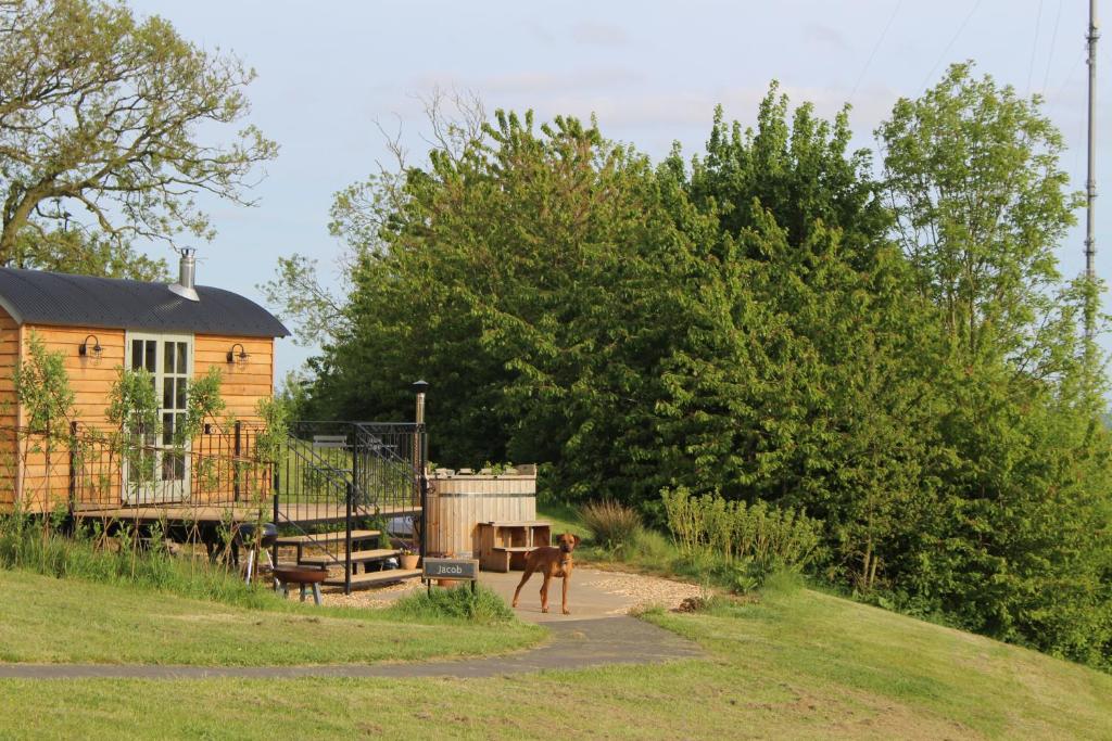 Fair Farm Hideaway, Waltham on the Wolds (updated prices 2025)
