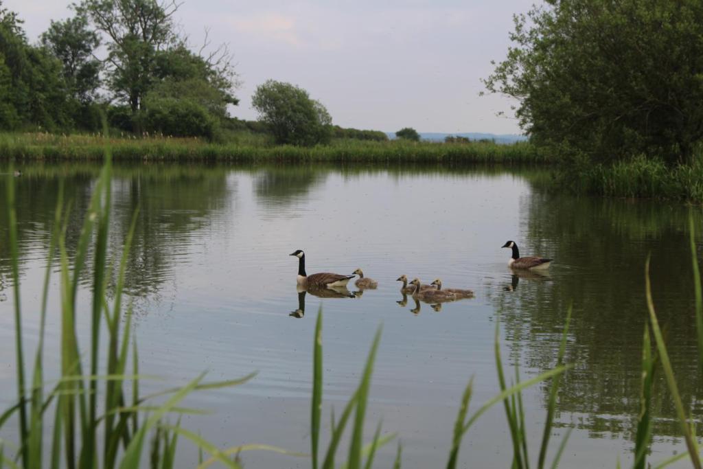 Fair Farm Hideaway, Waltham on the Wolds (updated prices 2025)