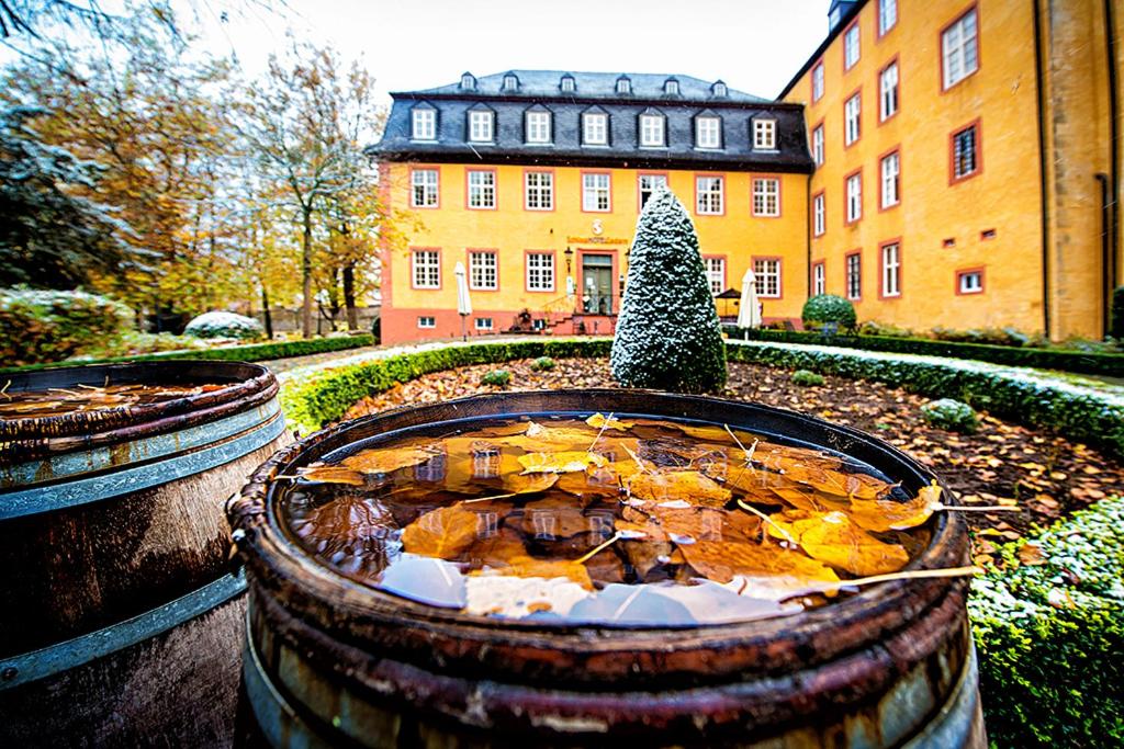 SchlossHOTELGedern in Gedern