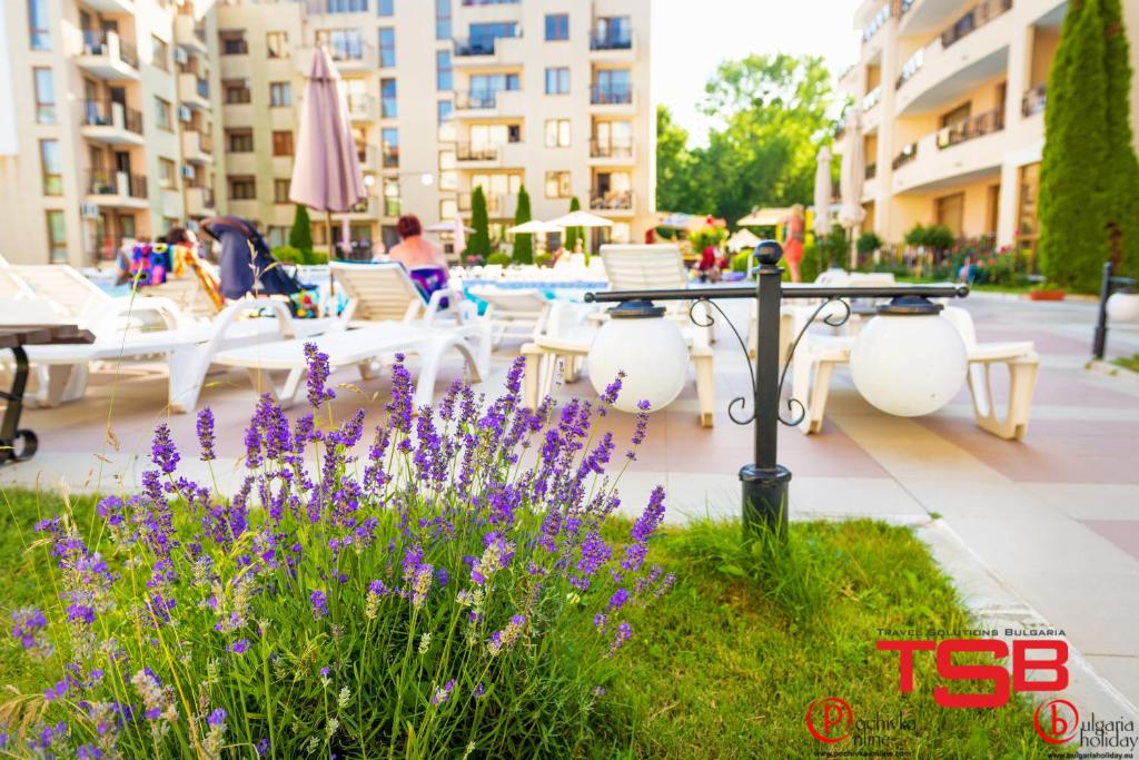 TSB Sunny Victory, Sunny Beach (updated prices 2025)