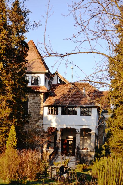 Villa Castelul Maria, Banpotoc (updated prices 2025)