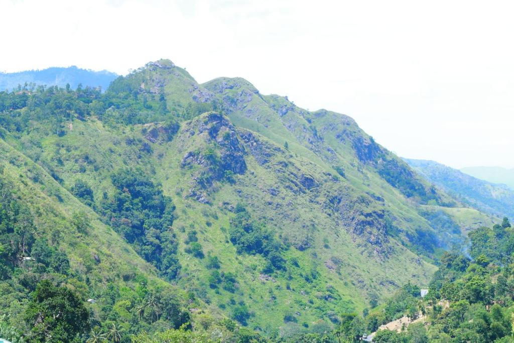 Ella River Front, Ella (updated prices 2025)