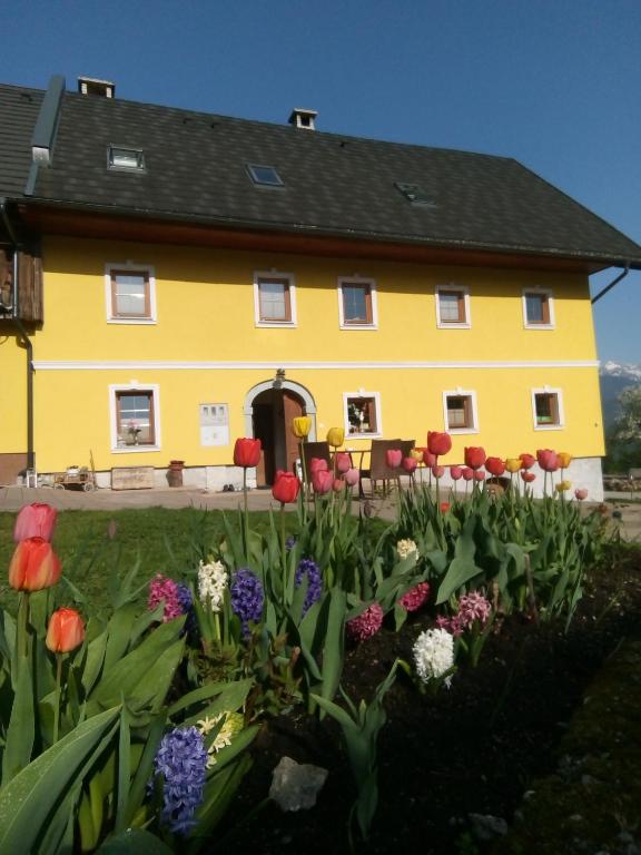 Apartments superior in Farmhouse Tubej in the nature, Bohinj – Güncel ...