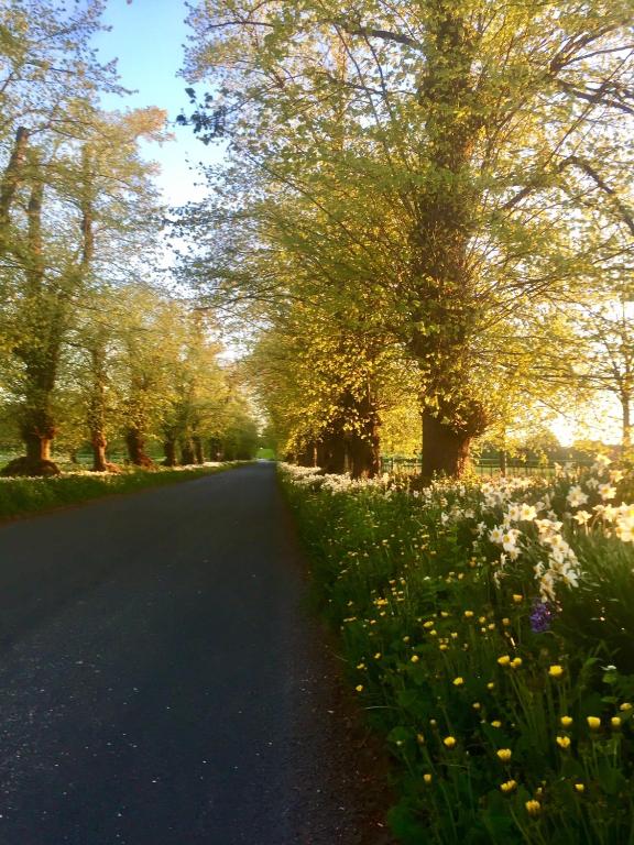 The Garden Suites at Snape Castle Mews, Bedale (updated prices 2025)