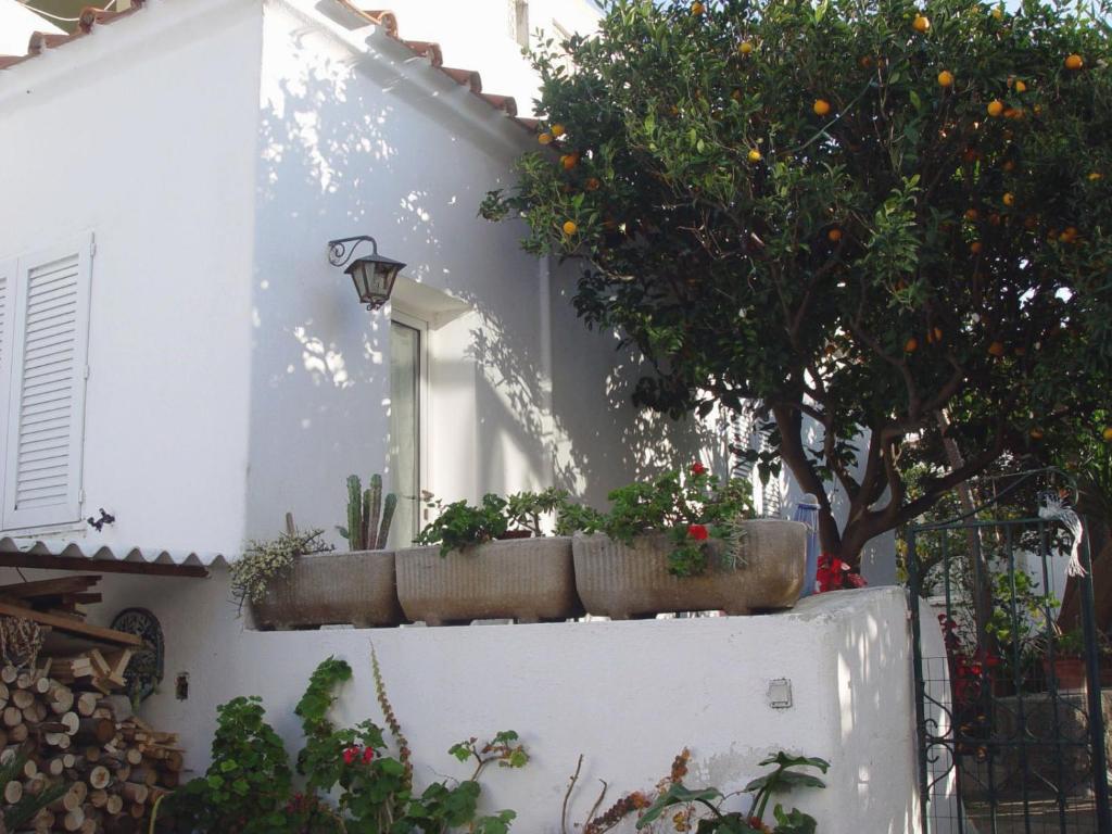 Grazioso e comodo appartamento al centro - Ischia