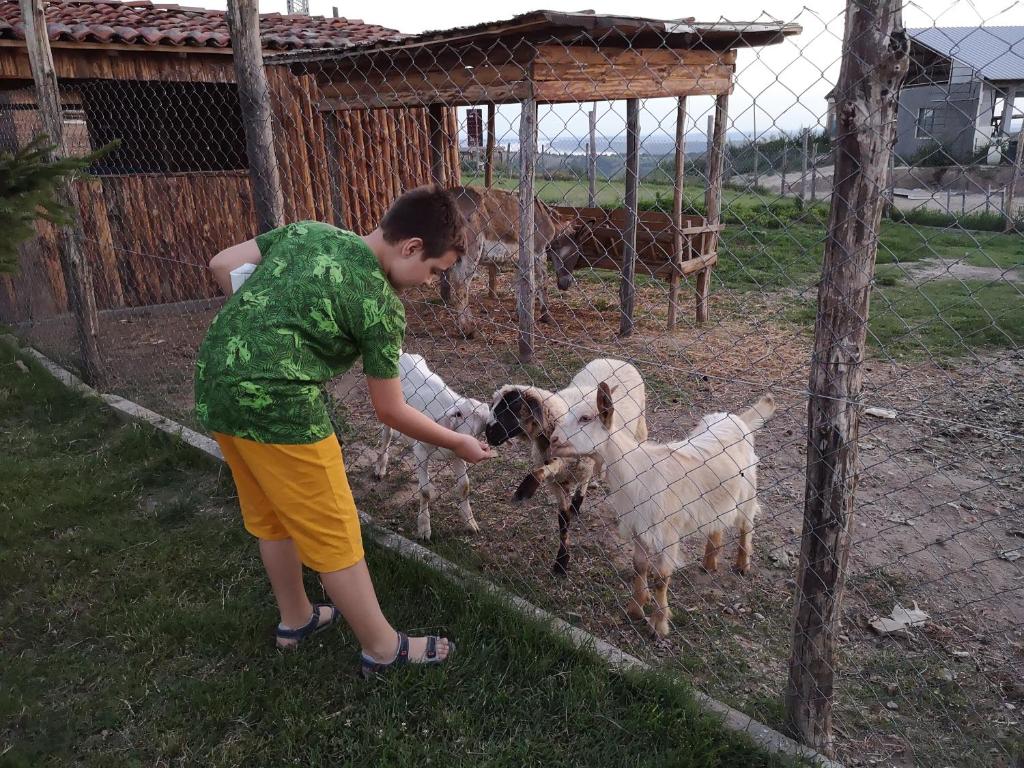 Seven Generations Winery Hotel, Mechka (updated prices 2025)