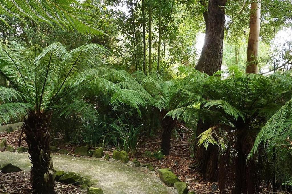 Colac Central Motel, Colac (updated prices 2025)