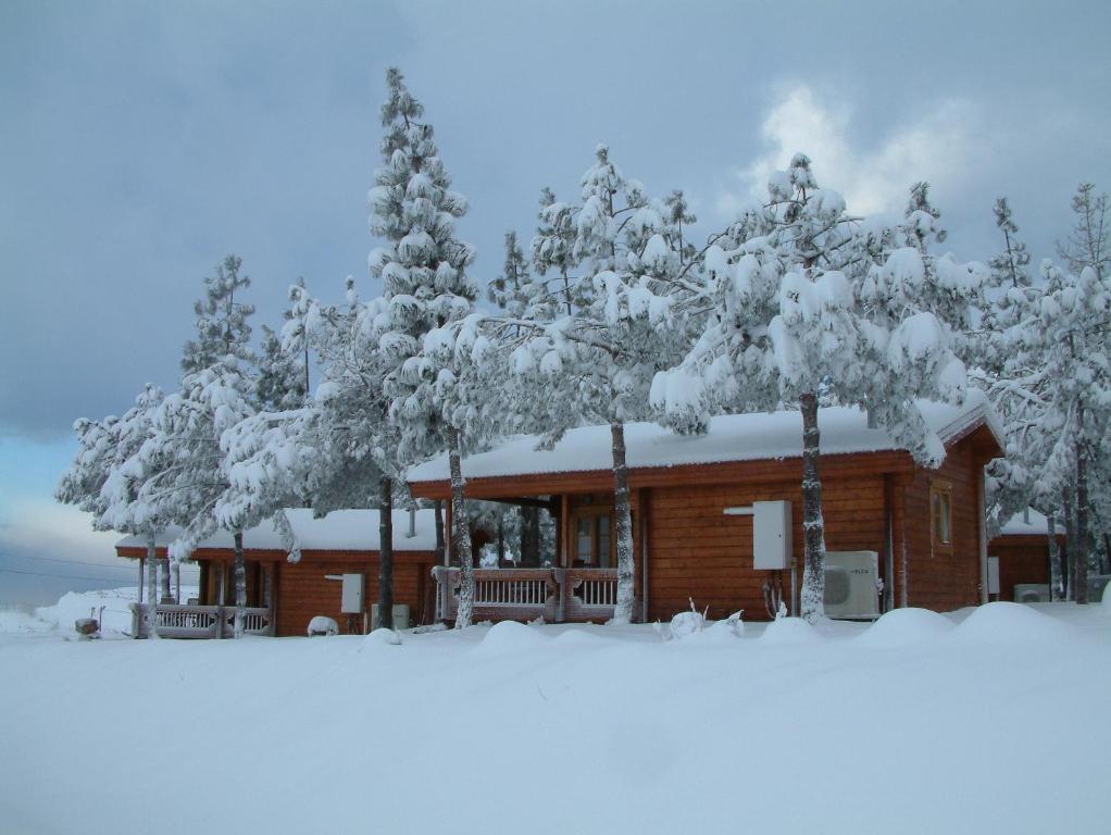 Ortal, Ortal – Updated 2022 Prices