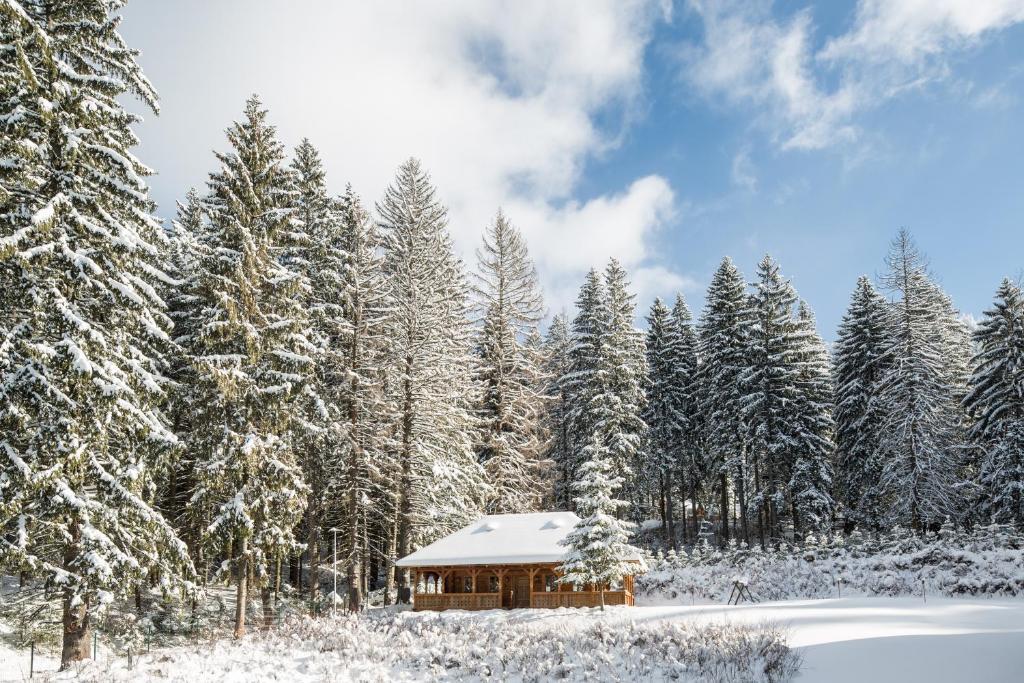 Teleferic Grand Hotel, Poiana Brasov (updated prices 2025)