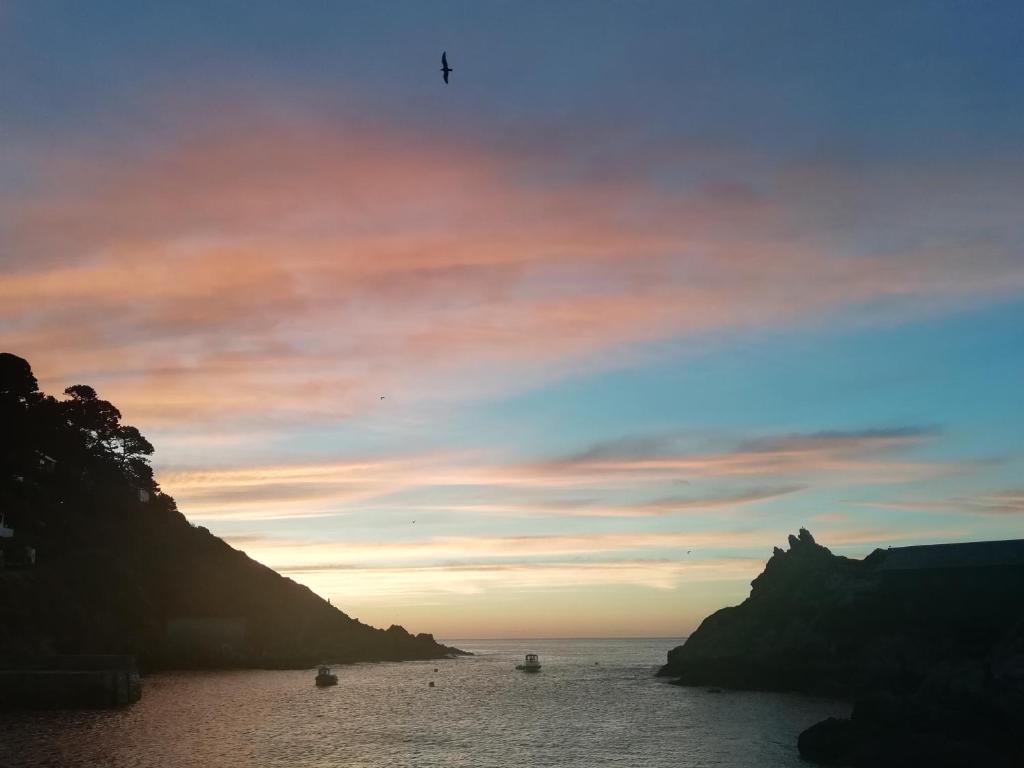The House on the Props, Polperro (updated prices 2025)