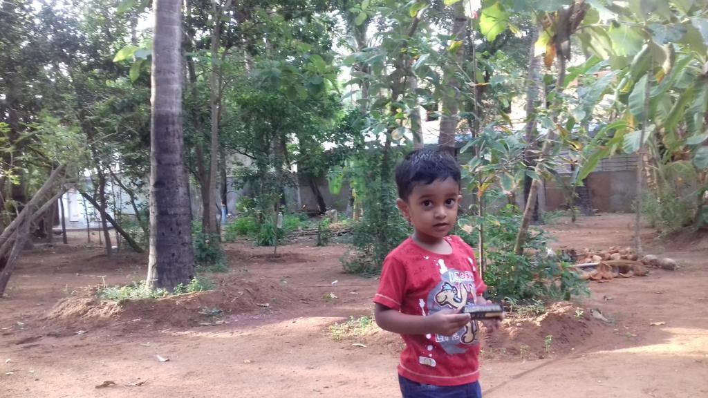 Coco Farm House near Serenity Beach, Puducherry (updated prices 2026)