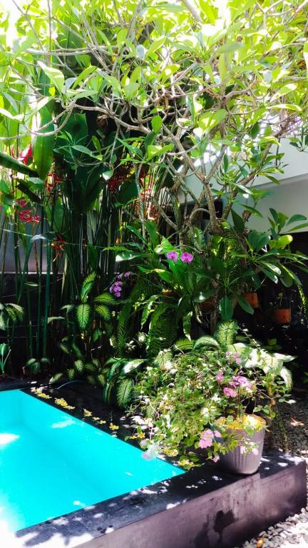 The Pavilion Hotel Kuta, Kuta (updated prices 2025)