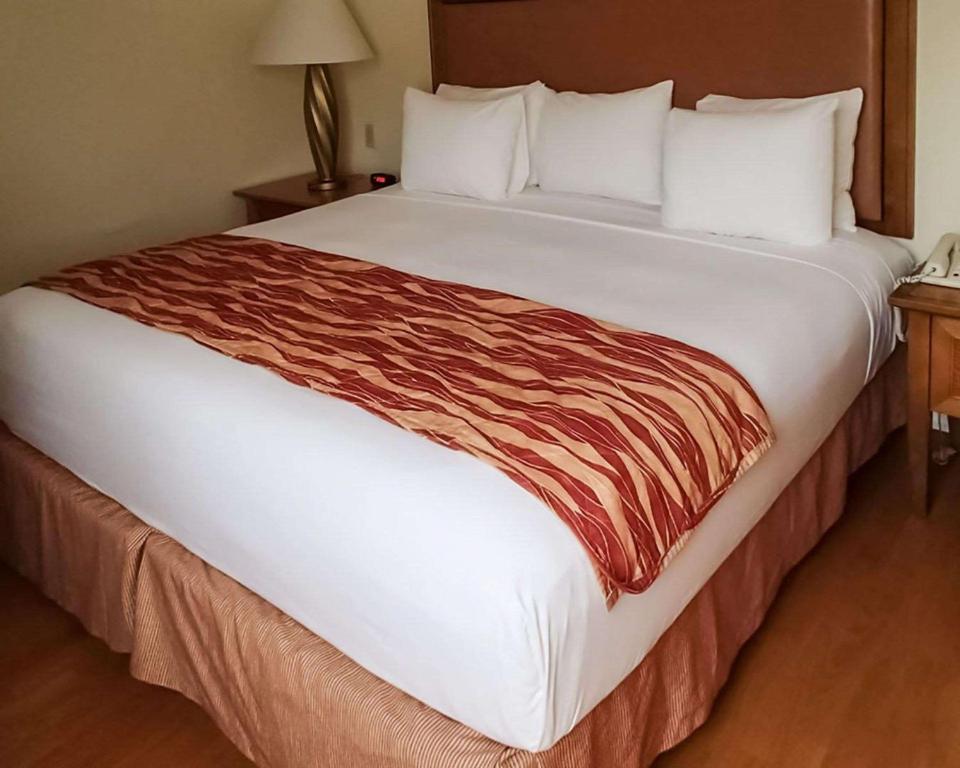 Rodeway Inn South Miami - Coral Gables, Miami (updated prices 2025)