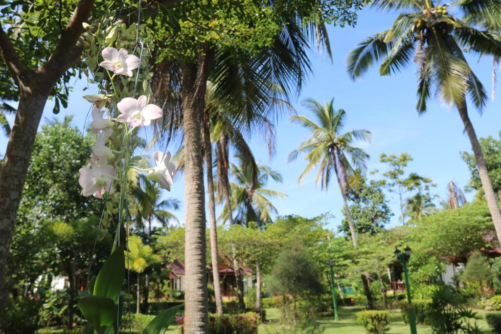 Rasa sayang Resort - SHA Certificate, Ko Lanta (updated prices 2025)