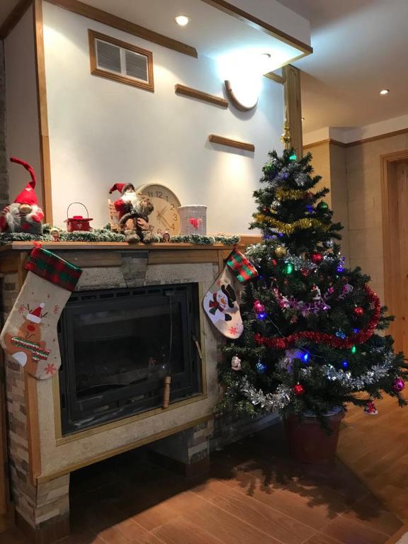 Apartment Ray ot Durvo, Veliko Tŭrnovo (updated prices 2026)