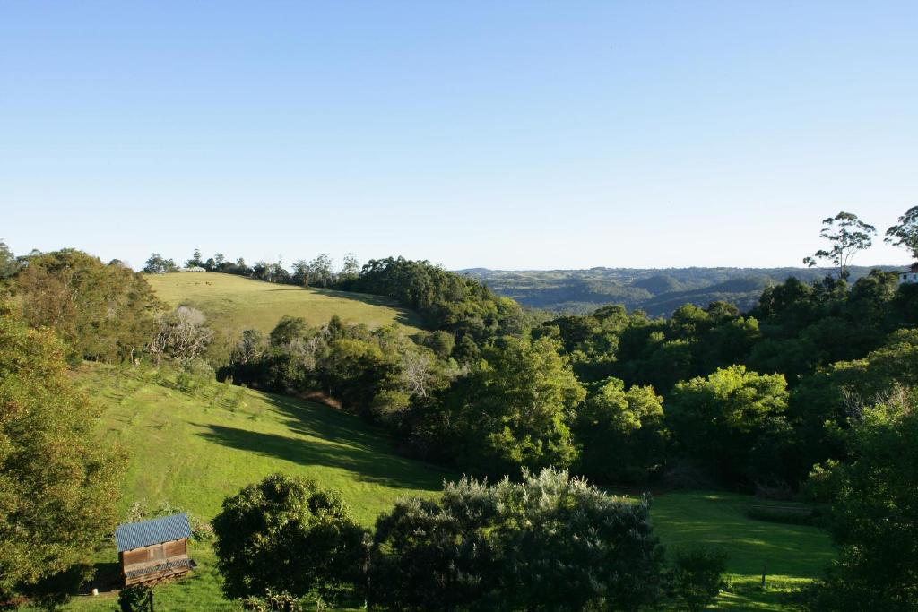 The Spotted Chook and Amelie's Petite Maison, Montville (updated prices ...