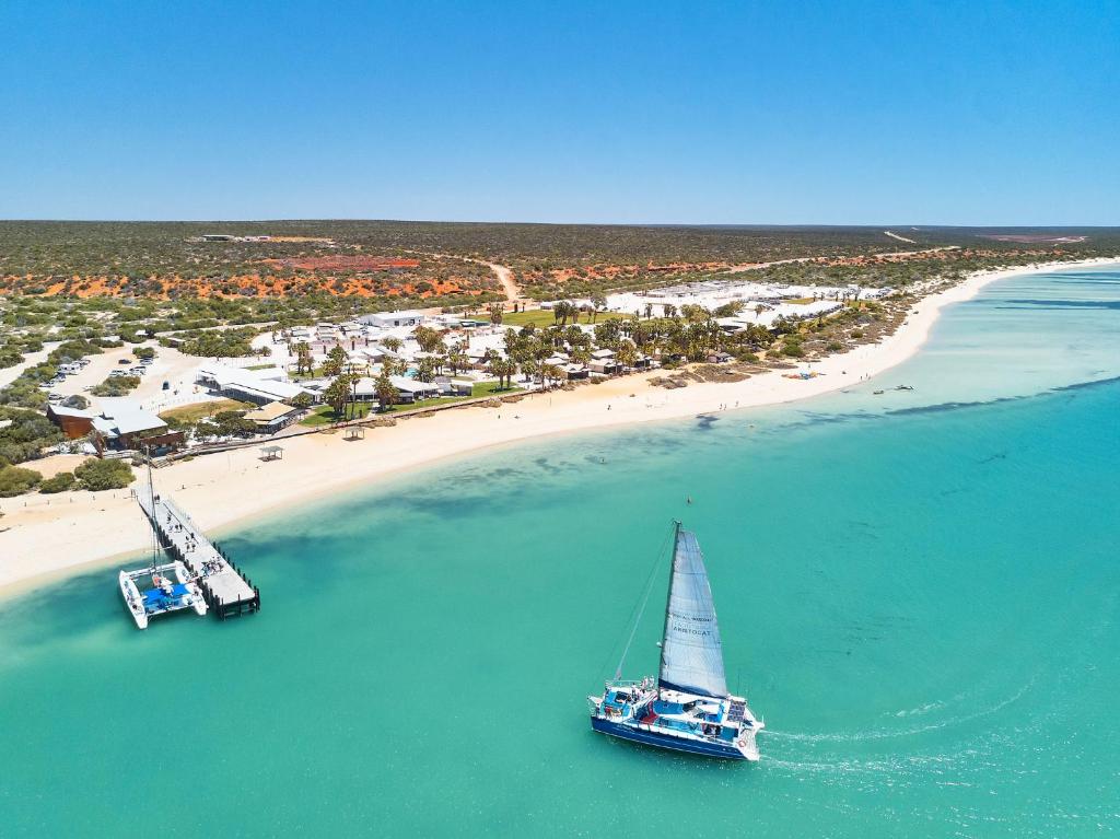 Can You Take Dogs To Monkey Mia