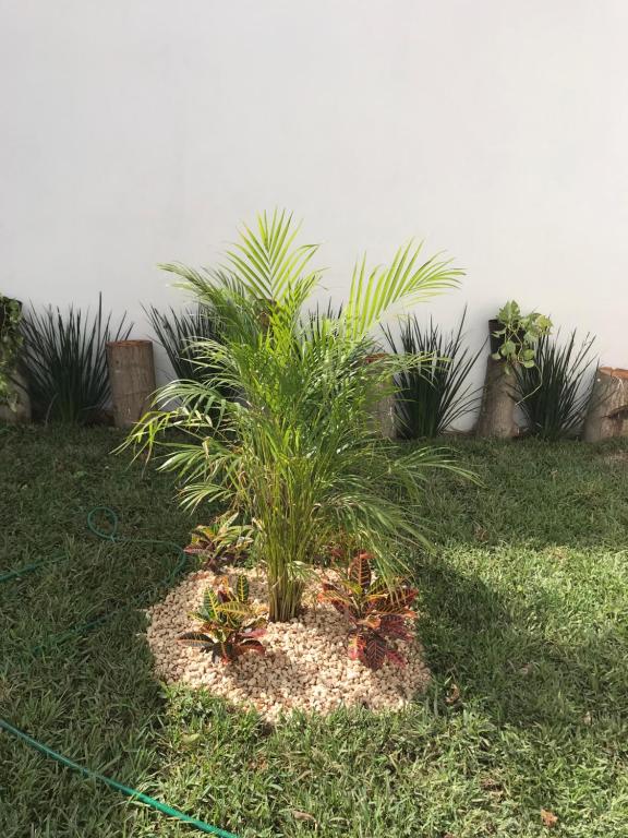 Casa Centro Histórico para 12 personas - Mérida