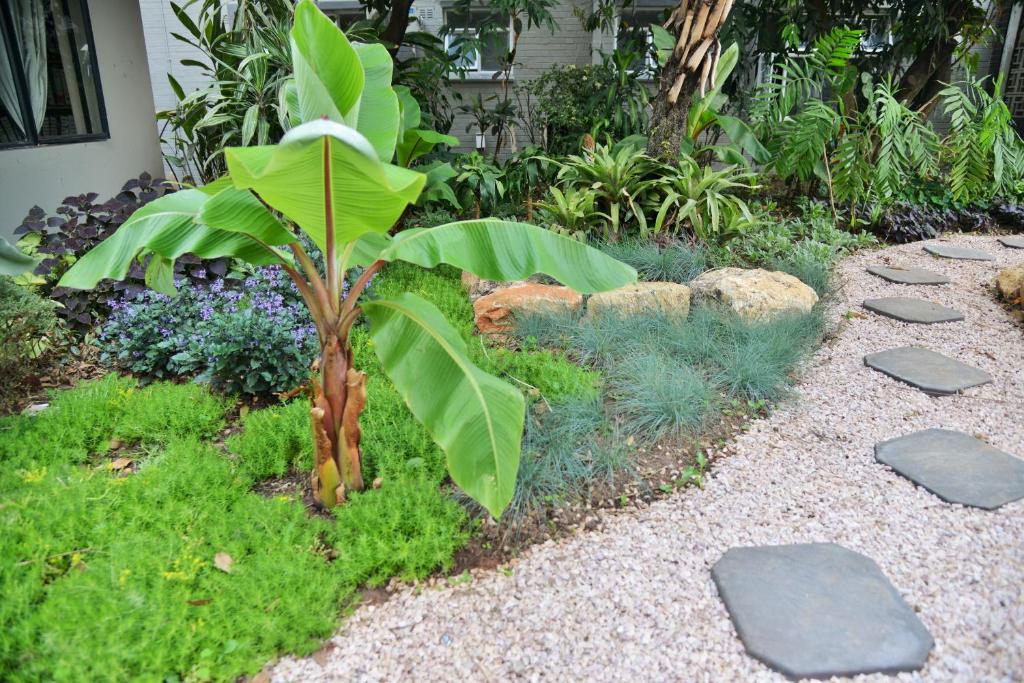 Cresta Oasis Hotel, Harare (updated prices 2025)