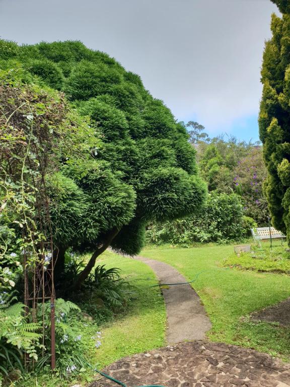 English Gardens - Forest Spa Suite, Springbrook (updated prices 2026)