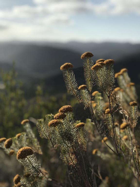 The Retreat at Groenfontein, Calitzdorp (updated prices 2025)