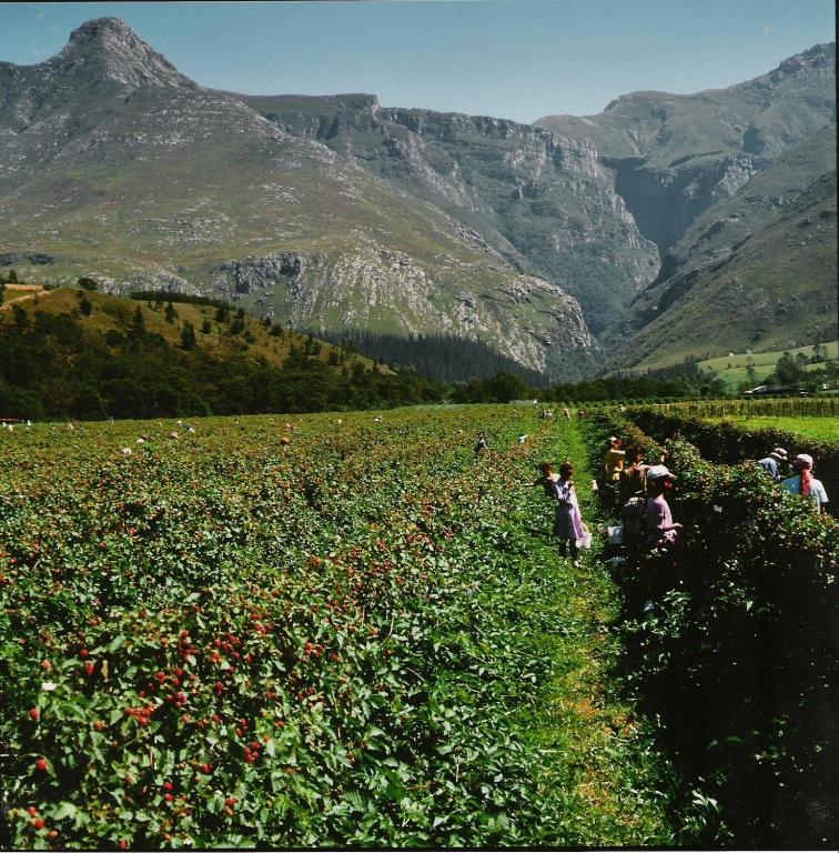 Wildebraam Berry Estate, Swellendam – Updated 2022 Prices