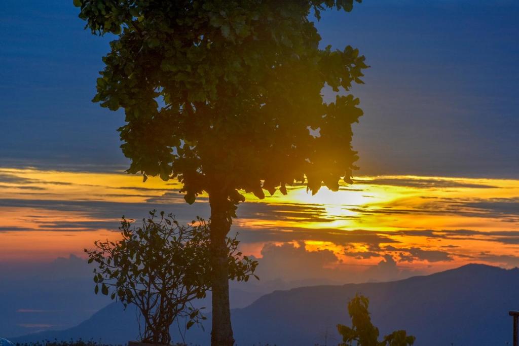 Marabedda Gardens Resort, Rikillagaskada (updated prices 2025)