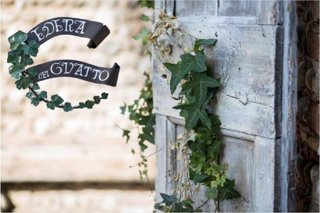 EDERA dei Guatto, Bertiolo (precios actualizados 2025)