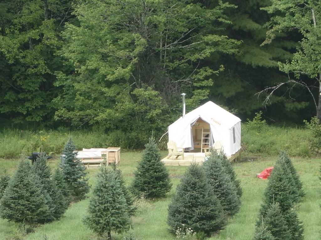 Tentrr - High Meadow Tree Farm, Harpursville (precios actualizados 2024)