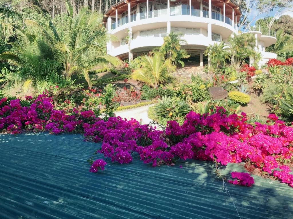 Villa Maria, Rarotonga (updated prices 2025)