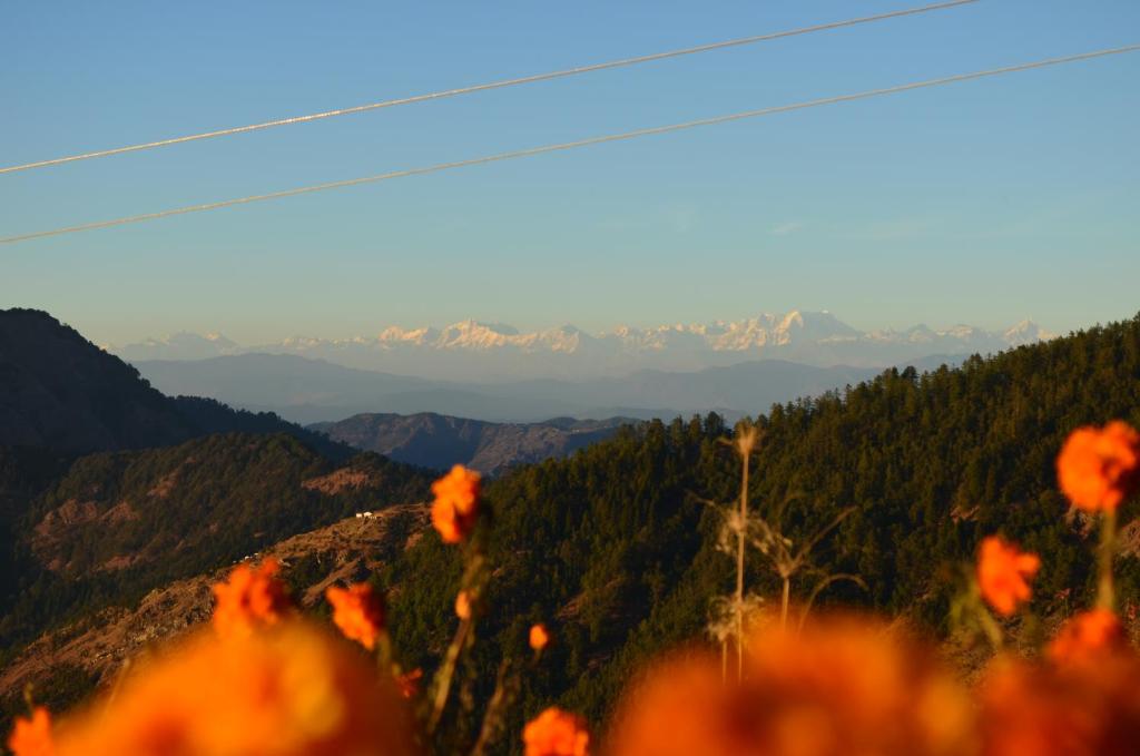 MUSKOTIA Independent Cottages, Nainital (updated prices 2026)