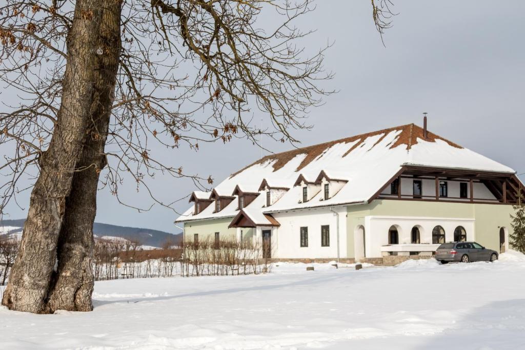 Castle Hotel Daniel, Baraolt (prețuri actualizate 2025)