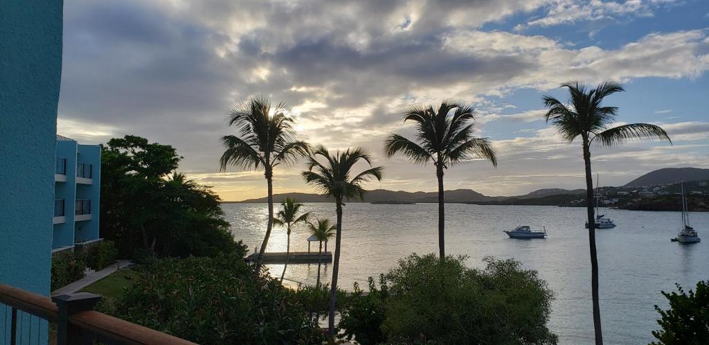 Secret Harbour Beach Resort, St Thomas (updated prices 2025)