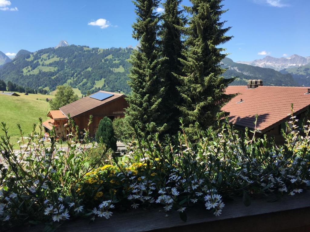 Cala Sol, Gstaad (updated prices 2025)