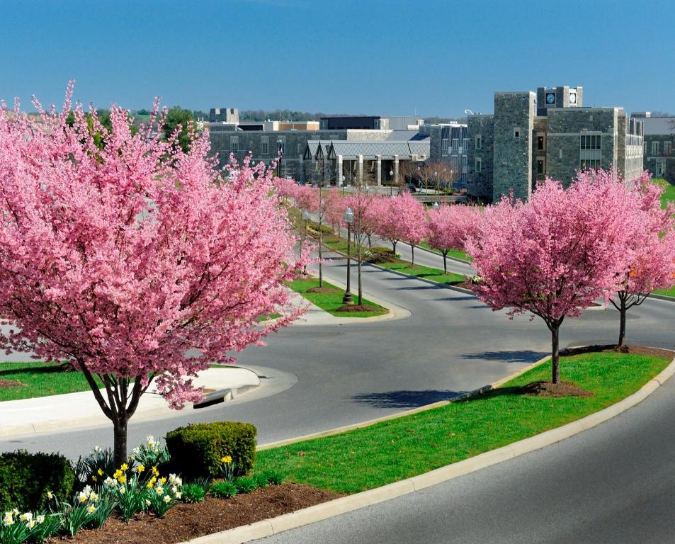 The Inn at Virginia Tech - On Campus, Blacksburg (updated prices 2025)