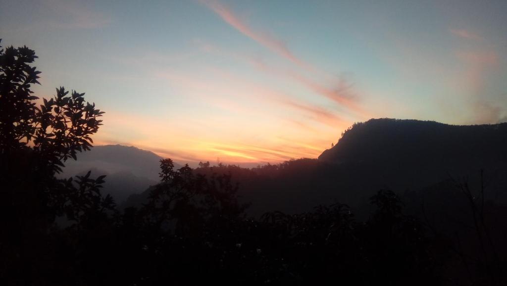 Racy Nature Cottage, Ella (updated prices 2025)