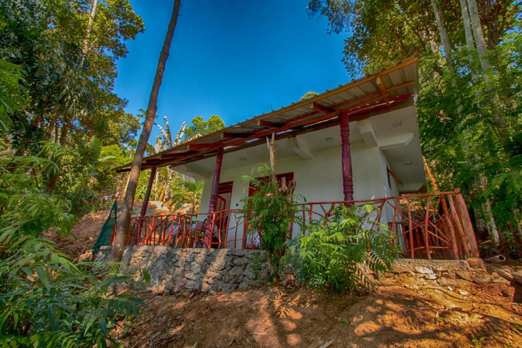 Dulmini Homestay, Ella (updated prices 2025)