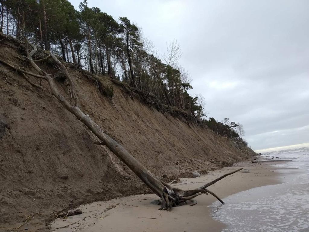 Yzzi, Palanga (updated prices 2025)