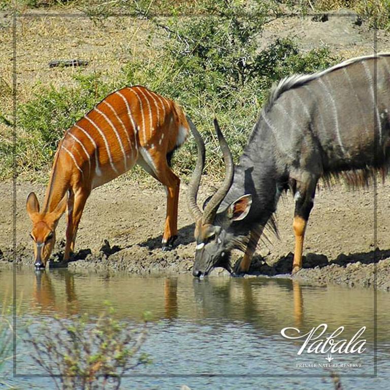 Pabala Private Nature Reserve, Hankey – Updated 2022 Prices