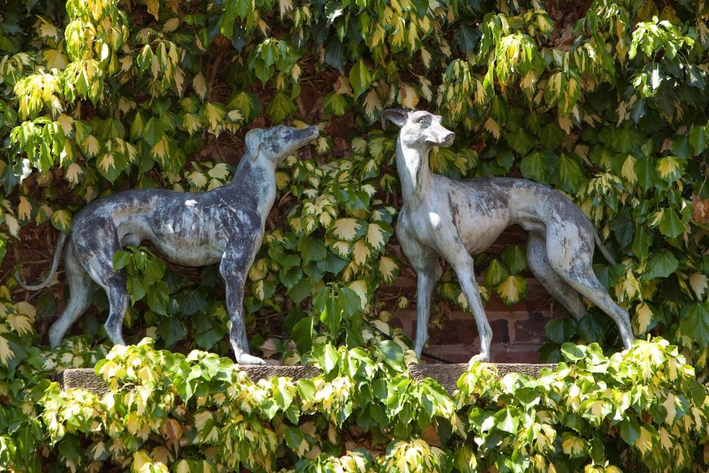 The Greyhound Coaching Inn, Lutterworth (updated prices 2025)