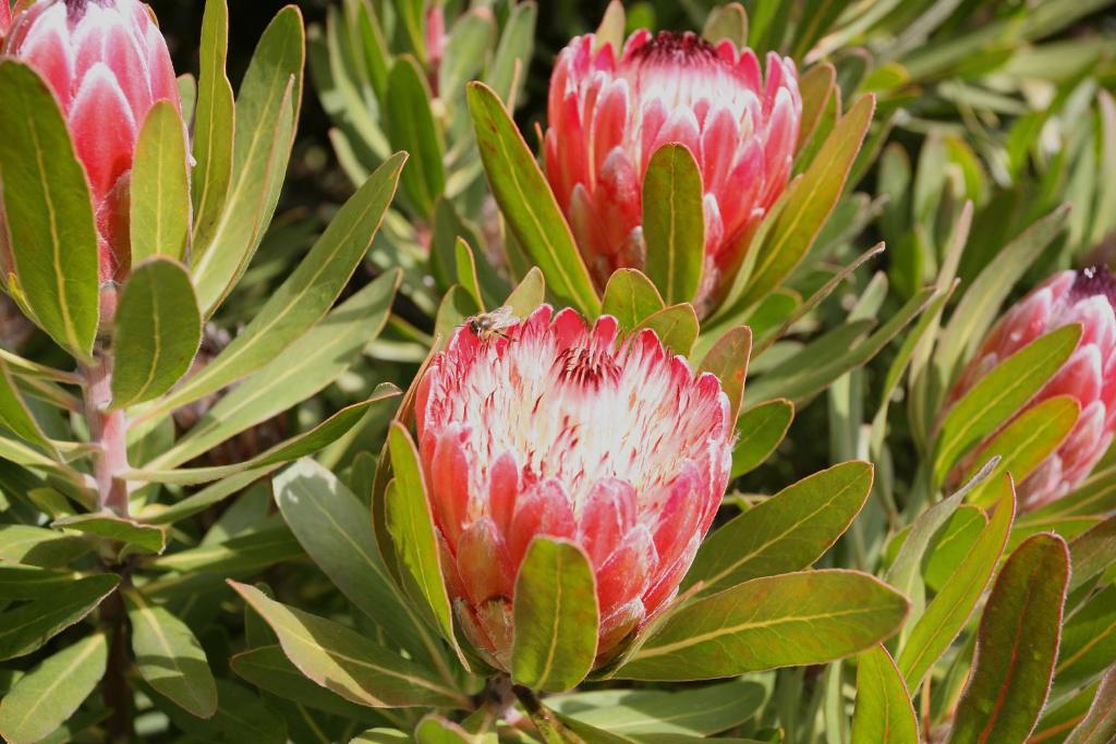 Silver Ridge Retreat, Sheffield (updated prices 2025)