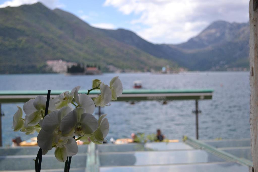Apartmani Armonia, Perast (updated prices 2025)