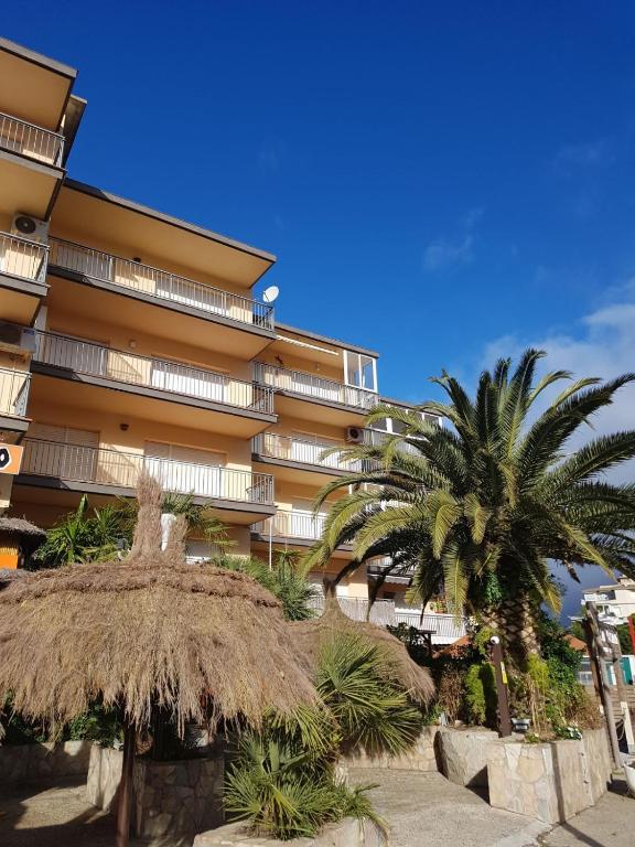 Sandra II-3, Roses (updated prices 2025)